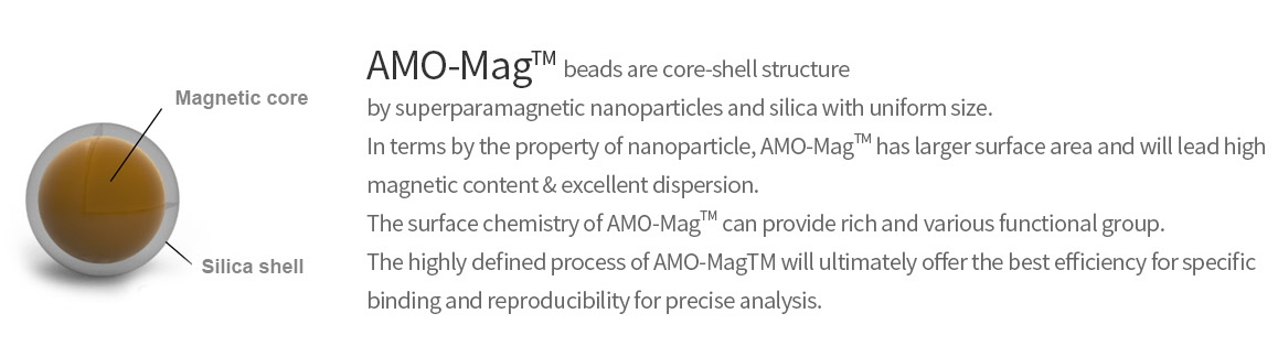 Magnetic Bead – AMOLIFESCIENCE